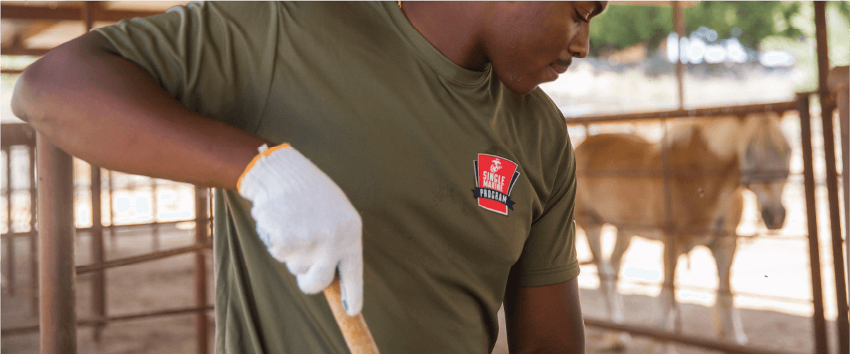 MCCS Volunteer Appreciation at Your Installation